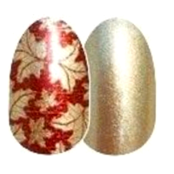 Color Street | Makeup | Maple Court | Poshmark